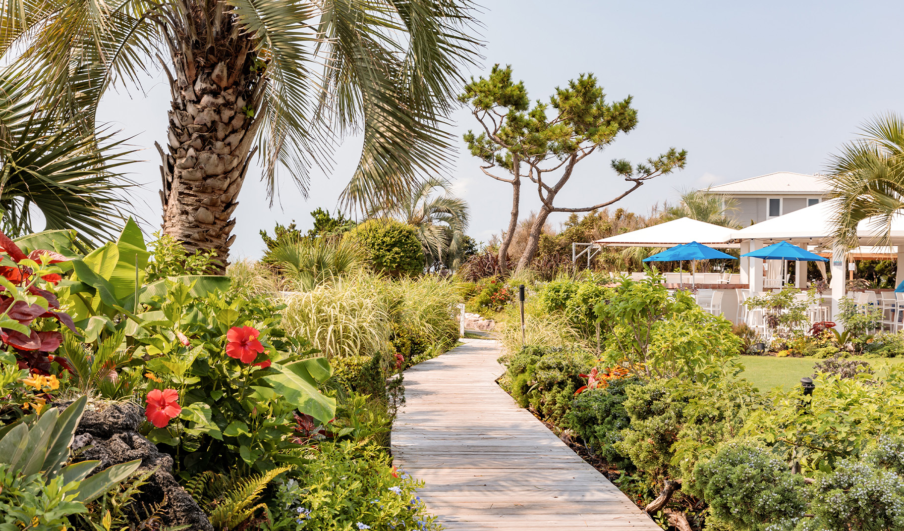 Trailborn Surf & Sound | Gallery