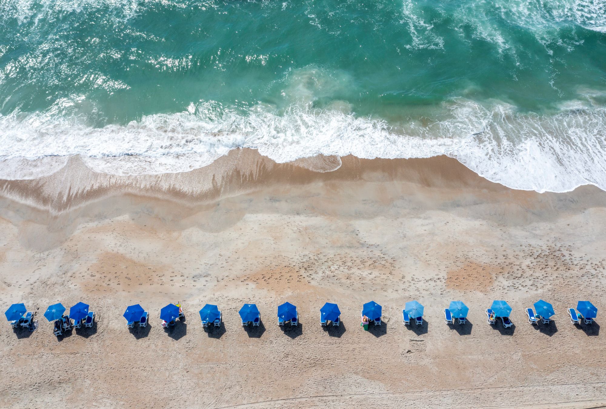 Trailborn Surf & Sound | Wrightsville Beach